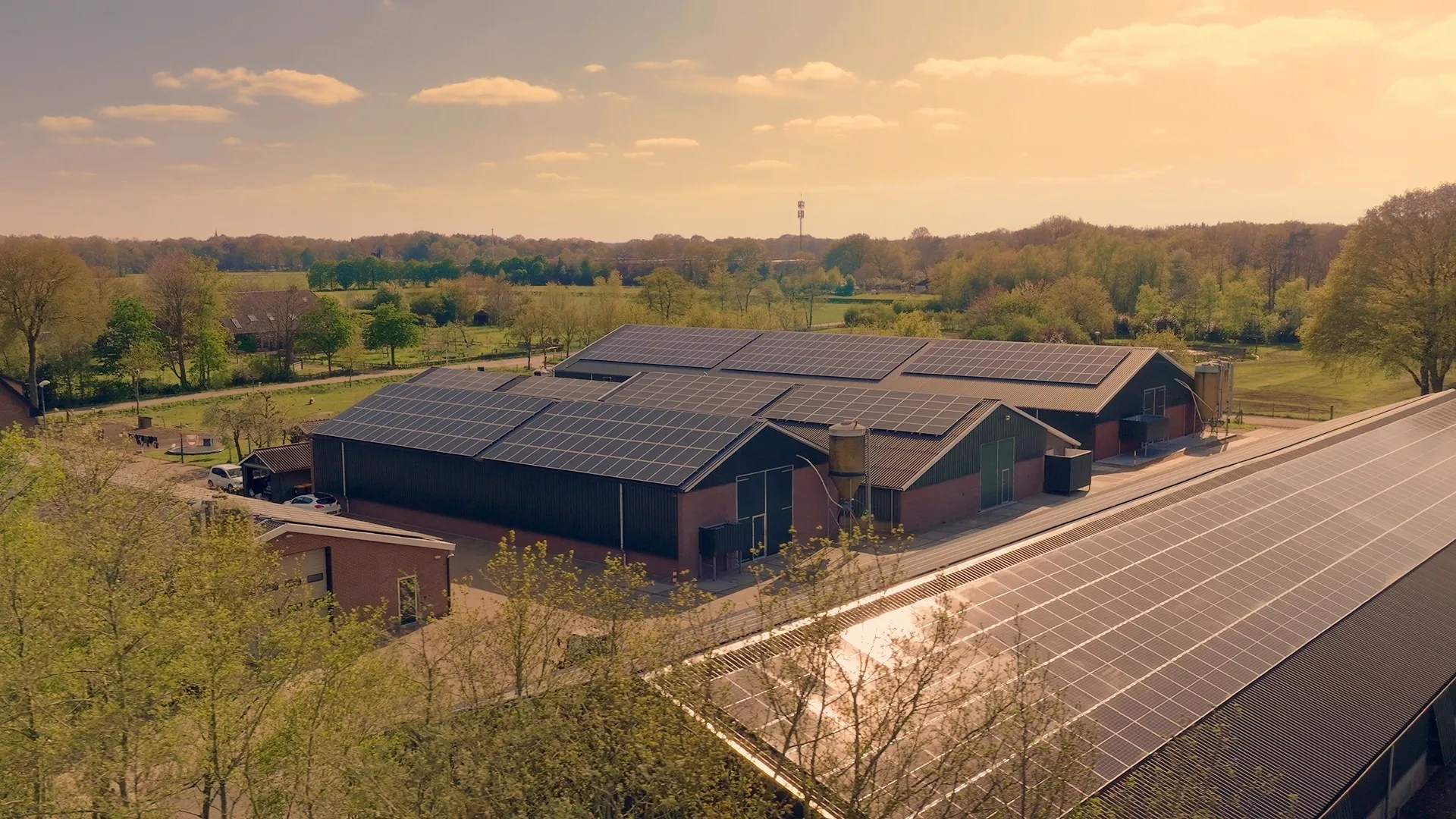 Solar & Storage Magazine - Zonnepanelen op het dak wordt Energy Shift: ‘Vraag agrariërs ...