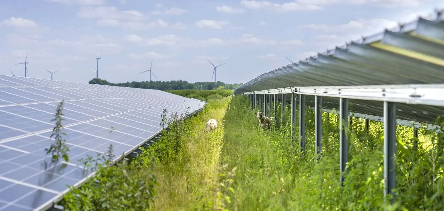 Solar & Storage Magazine - PowerField kiest GOLDBECK SOLAR voor bouw ...